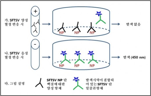 중증열성혈소판감소증후군 SFTS 항체진단 국내 최초 기술개발 – 데일리벳