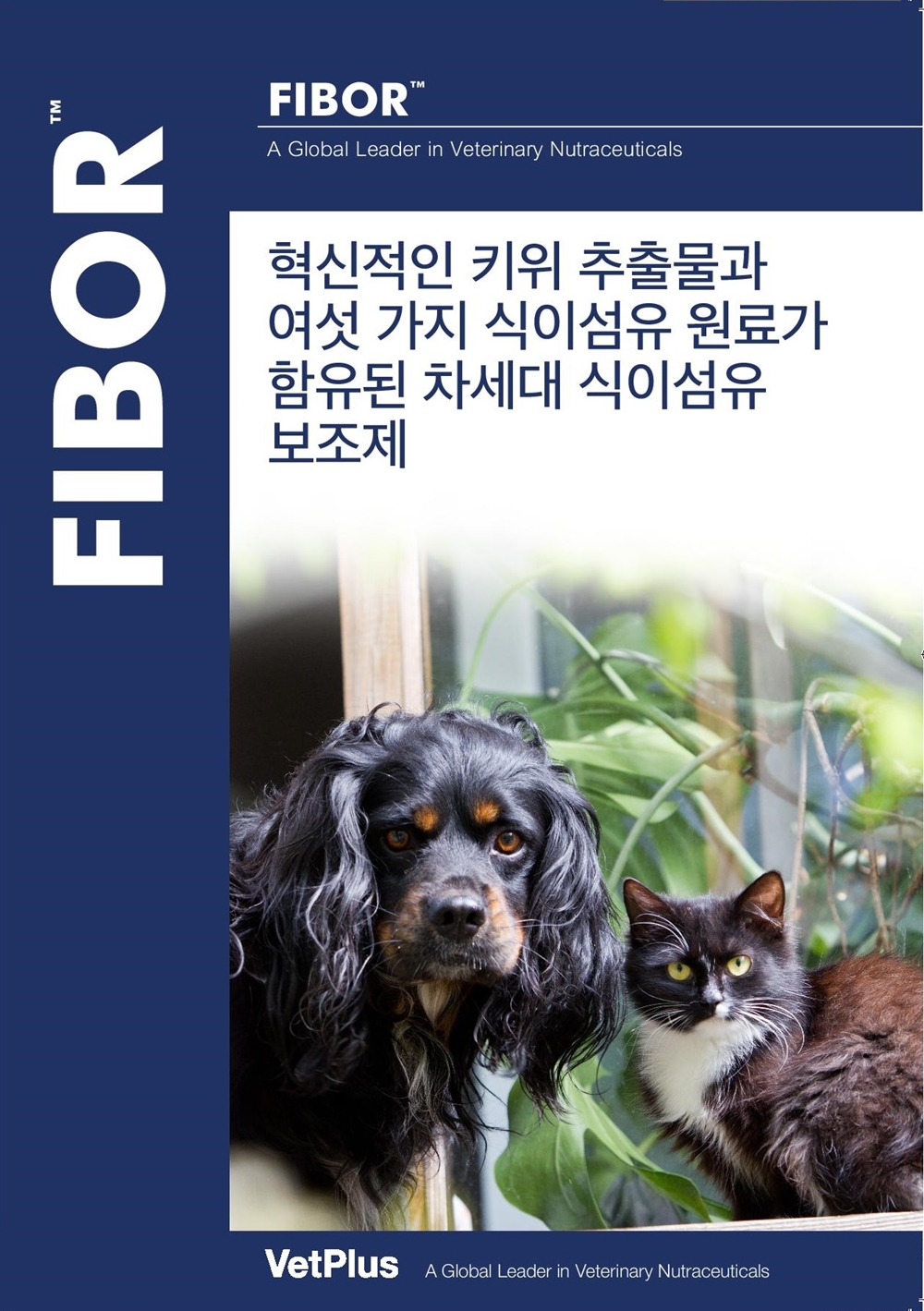 fovets vetplus FIBOR – 데일리벳