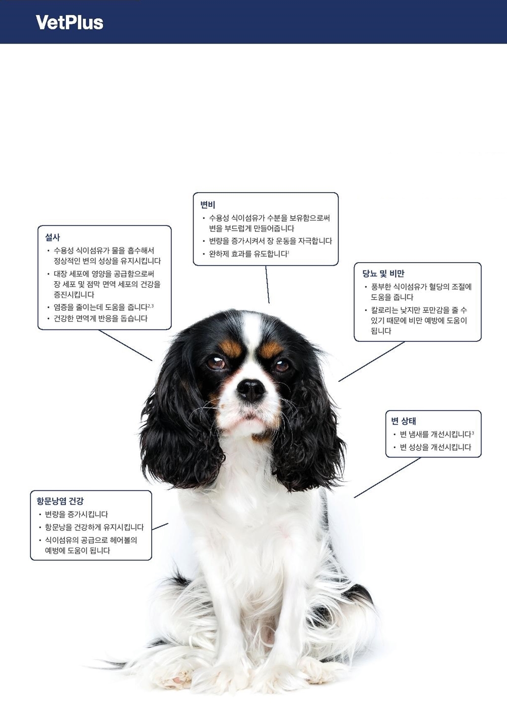 fovets vetplus FIBOR – 데일리벳