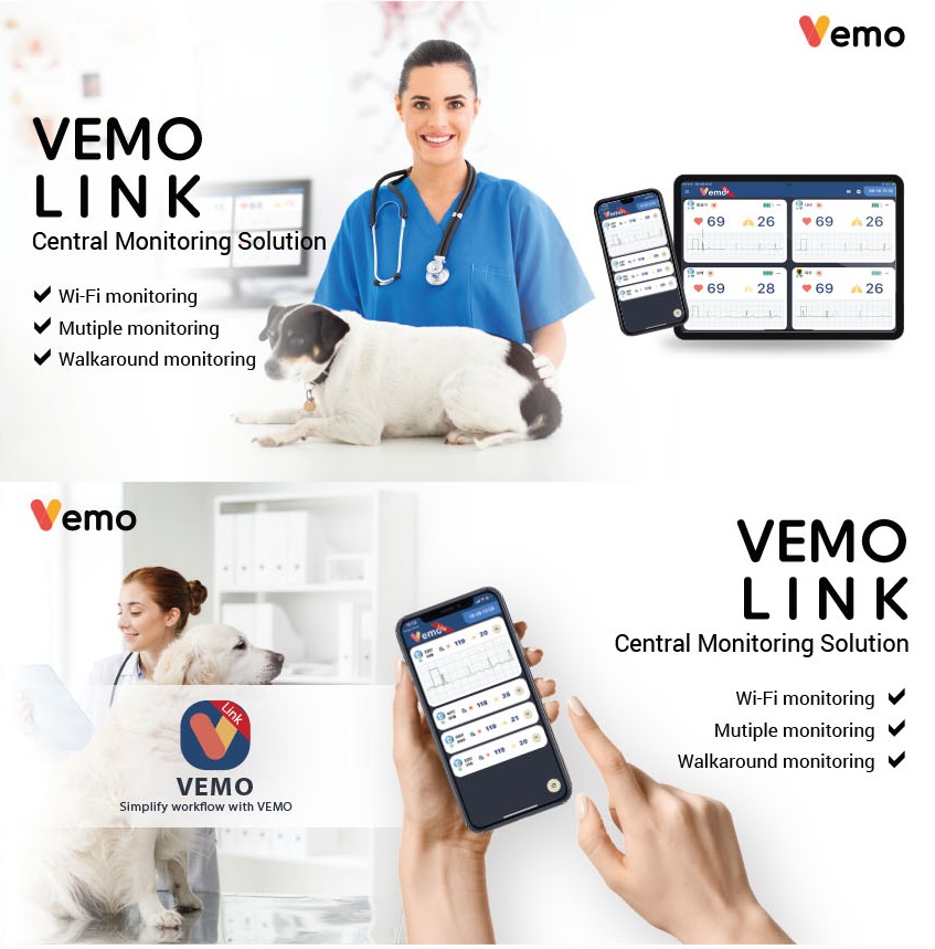 202010bionet_VEMO – 데일리벳