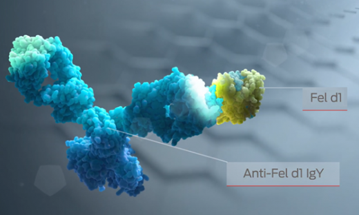 `고양이 알러지` 없애 사람과 고양이의 삶의질을 함께 높이는 새로운 방법 – 데일리벳
