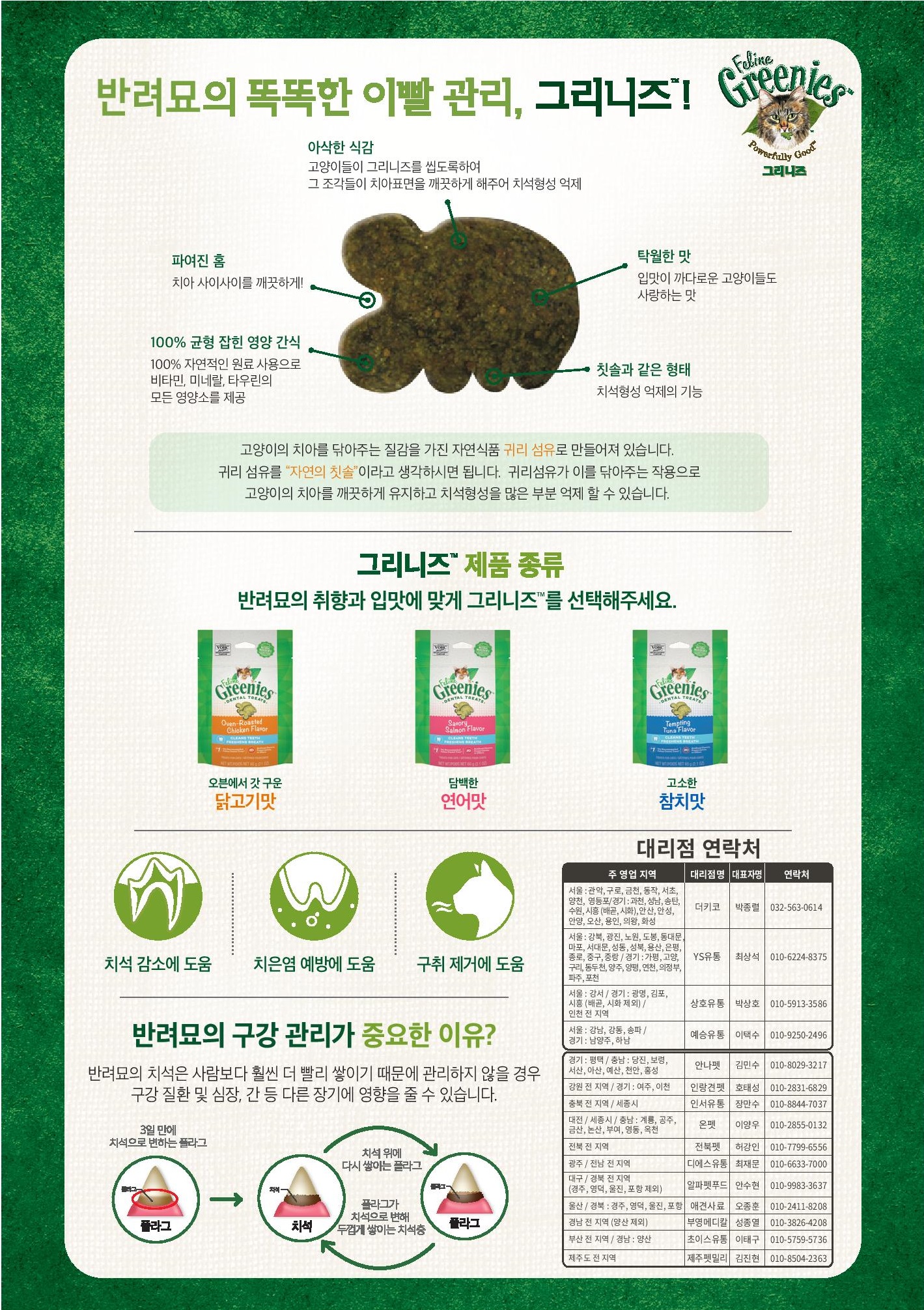 2022마즈_그리니즈캣 – 데일리벳