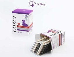 [신제품] 반려동물영양연구소 반려동물 심장 영양제 ‘코르카’ | 데일리벳