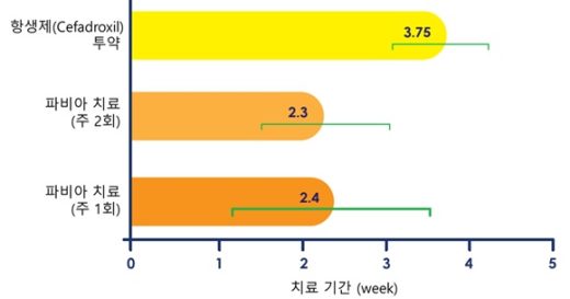[신제품] 1인 동물병원도 부담 없이 적용 가능한 광선 피부치료 ‘파비아’ – 데일리벳