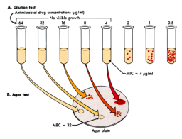 [농장동물 항생제②] 항생제, 살균제와 정균제는 어떻게 다른가 | 데일리벳