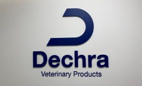 데크라코리아, 동물용의약품 공급 재개‥상반기 정상화 목표 | 데일리벳