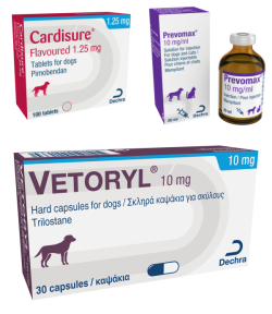 데크라코리아, 동물용의약품 공급 재개‥상반기 정상화 목표 | 데일리벳