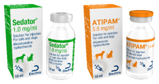 데크라 세다토·데크라 아티팜 동물병원 재공급..기념 이벤트도 – 데일리벳