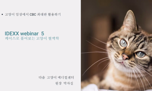 고양이 임상에서 CBC 검사 최대한 활용하는 방법은? – 데일리벳