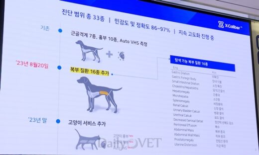 출시 1년 앞둔 SKT 엑스칼리버, 복부 16종 서비스 추가 – 데일리벳