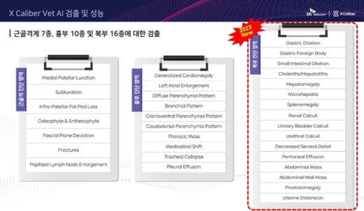 출시 1년 앞둔 SKT 엑스칼리버, 복부 16종 서비스 추가 – 데일리벳