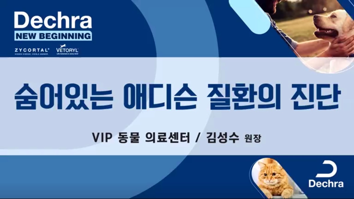 [데크라] 애디슨 웨비나 – 데일리벳