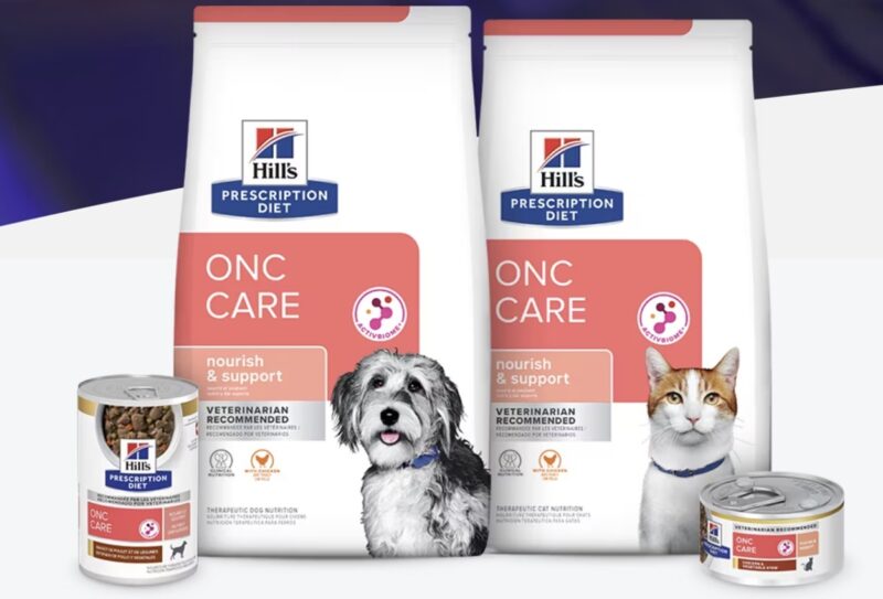 반려동물 암 환자를 위한 처방식 ‘힐스 ONC케어’ – 데일리벳