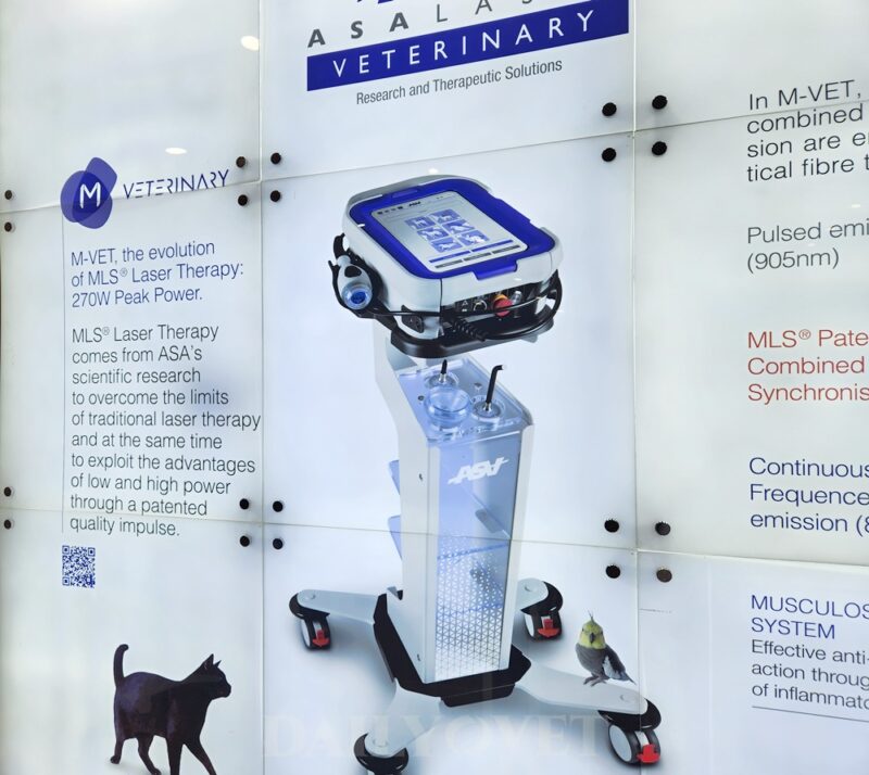 한국동물재활학회→한국수의재활학회 명칭 변경…최춘기 회장 추대 – 데일리벳